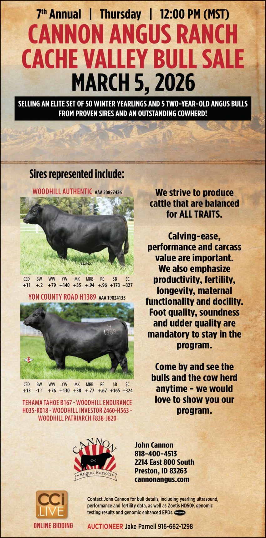 Cache Valley Bull Sale, Cannon Angus Ranch, Preston, ID